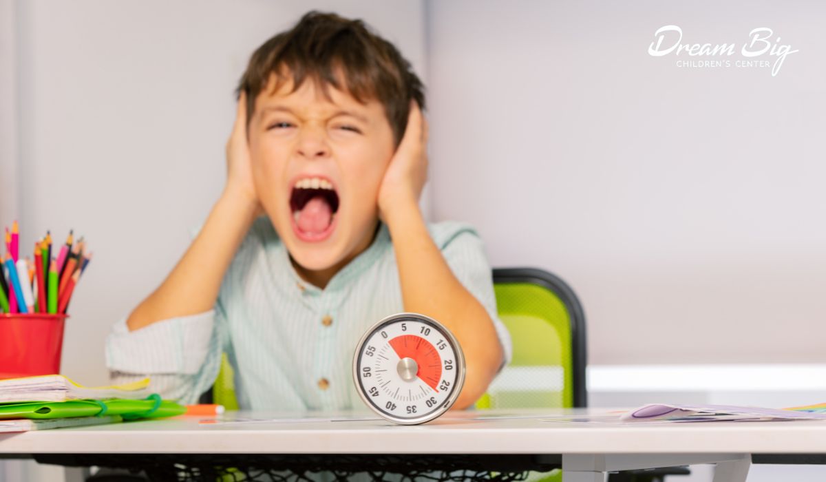 Understanding ABA Therapy: A Comprehensive Guide for Autism - Dream Big